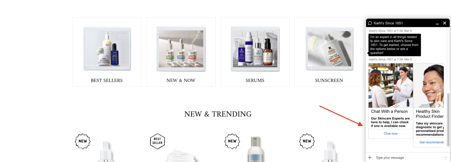 The Future of E-commerce: Trends and Predictions for Shopify Businesses - Empire Flippers